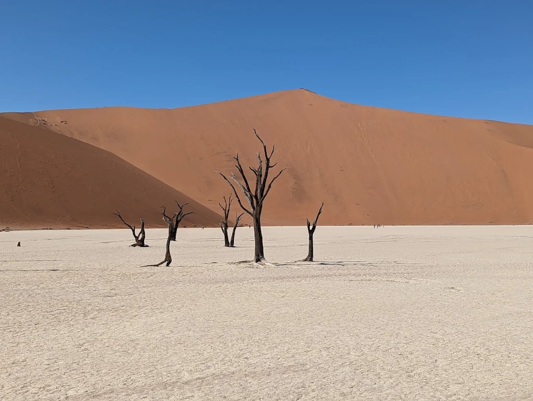 Namibia-Destinations-Sossusvlei - Wild Cherry Adventures