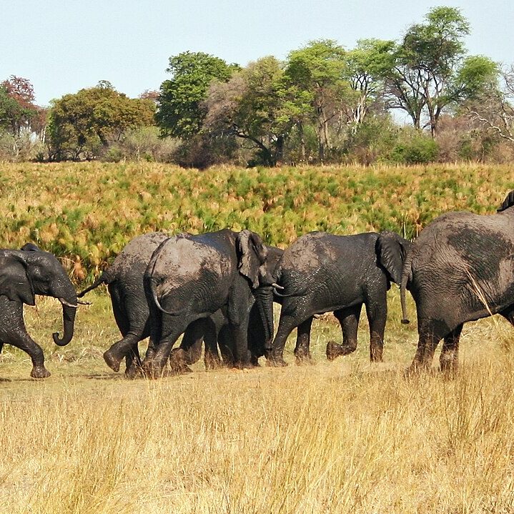 Namibia Self-Drive Safaris | Ultimate Road Trip Adventures in Namibia ...