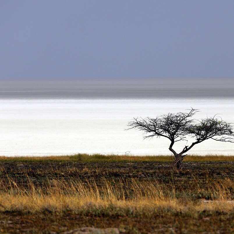 Namibia Self-Drive Safaris | Ultimate Road Trip Adventures in Namibia ...