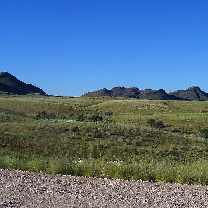 Okahandja Self-Drive | Cultural Stop on Namibia Road Trips - Wild ...
