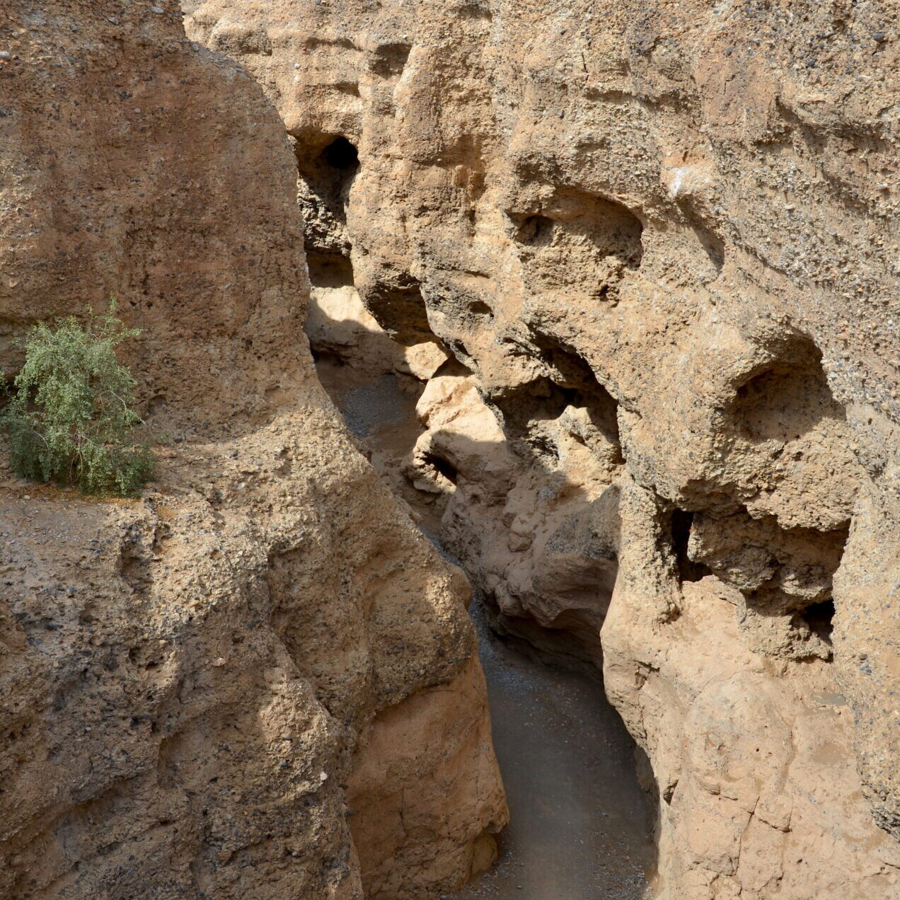 Namibia Self-Drive Safaris | Ultimate Road Trip Adventures in Namibia ...