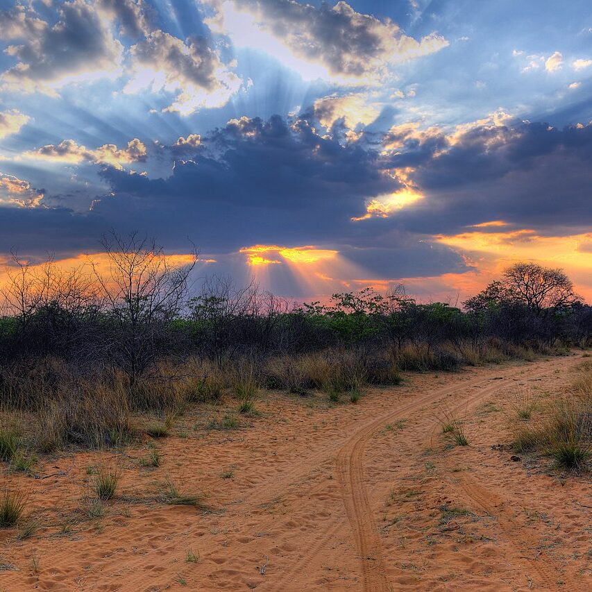 Okahandja Self-Drive | Cultural Stop on Namibia Road Trips - Wild ...