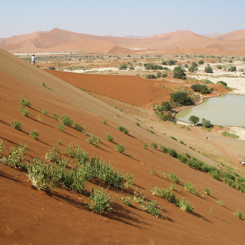 Namibia Self-Drive Safaris | Ultimate Road Trip Adventures in Namibia ...