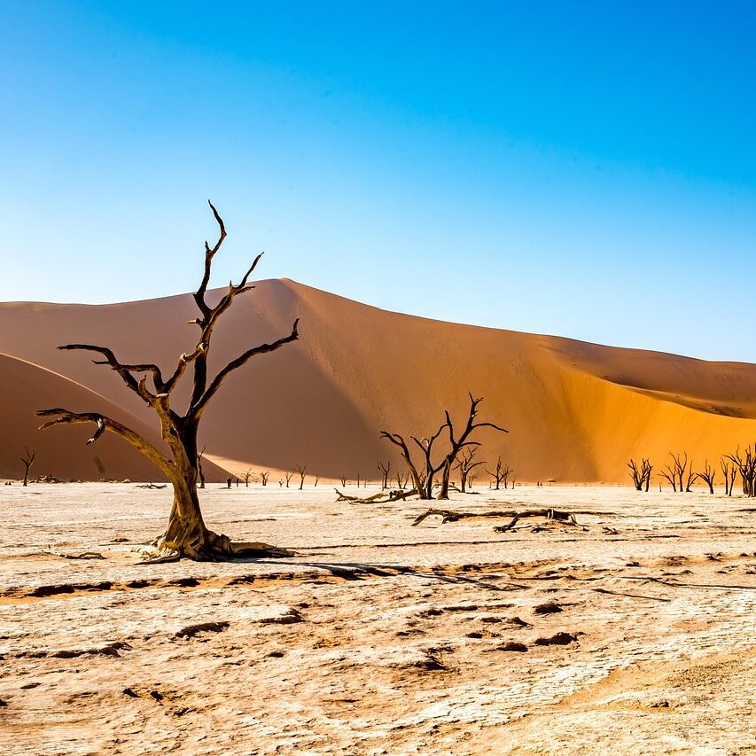 Namibia Self-Drive Safaris | Ultimate Road Trip Adventures in Namibia ...