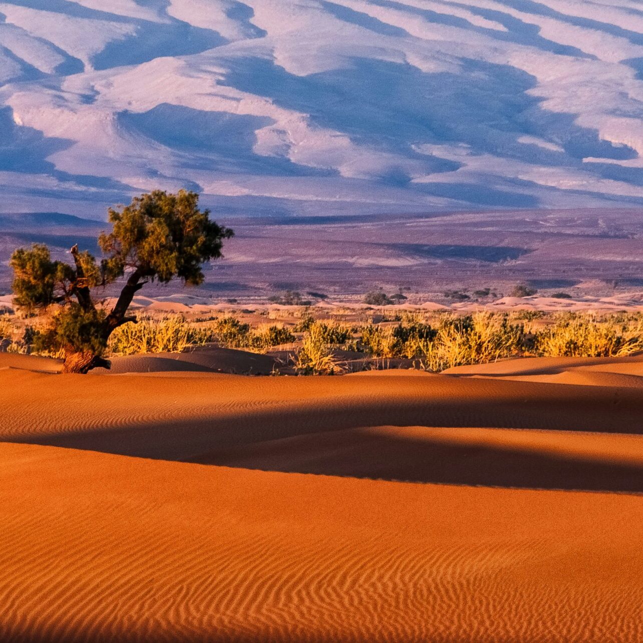 Windhoek Self-Drive | Gateway to Namibia’s Road Trip Adventures - Wild ...