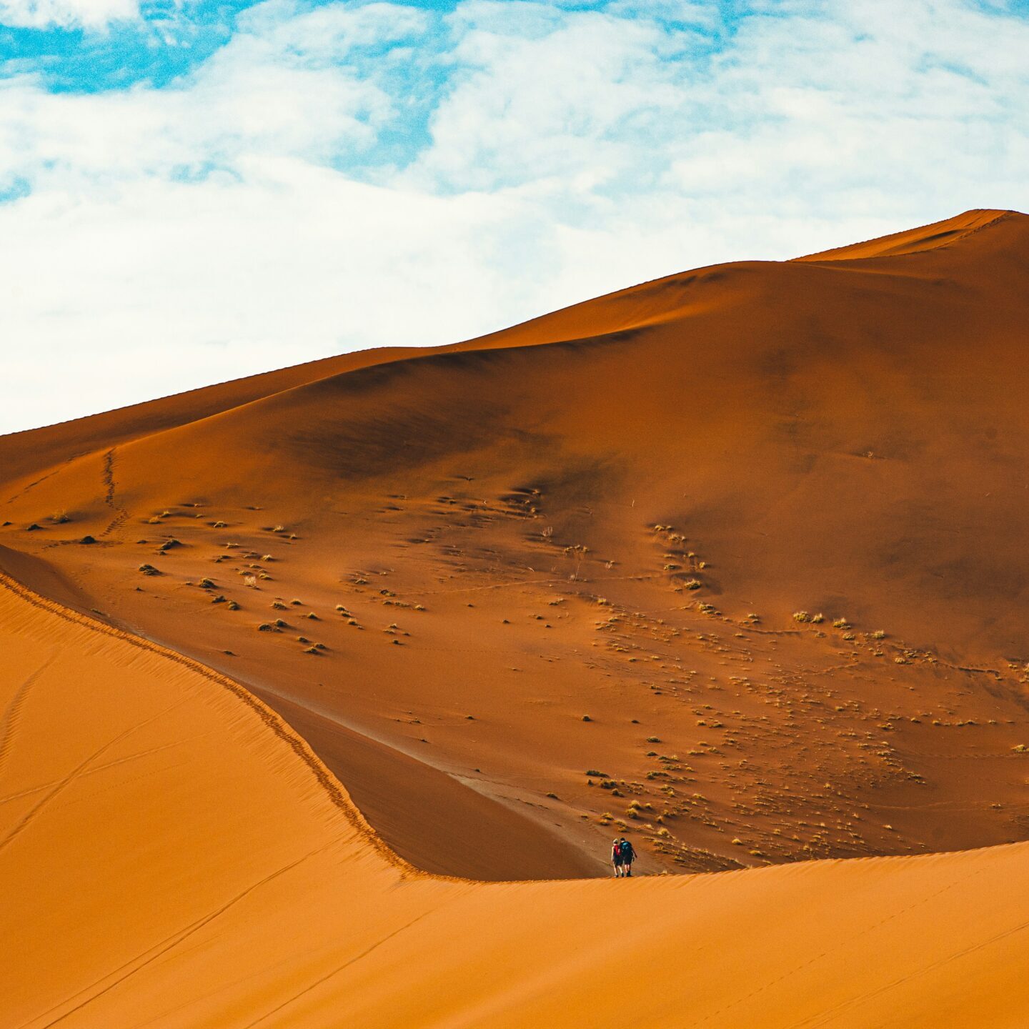 Windhoek Self-Drive | Gateway to Namibia’s Road Trip Adventures - Wild ...