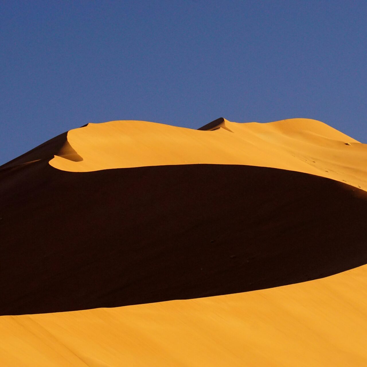 Namibia Self-Drive Safaris | Ultimate Road Trip Adventures in Namibia ...