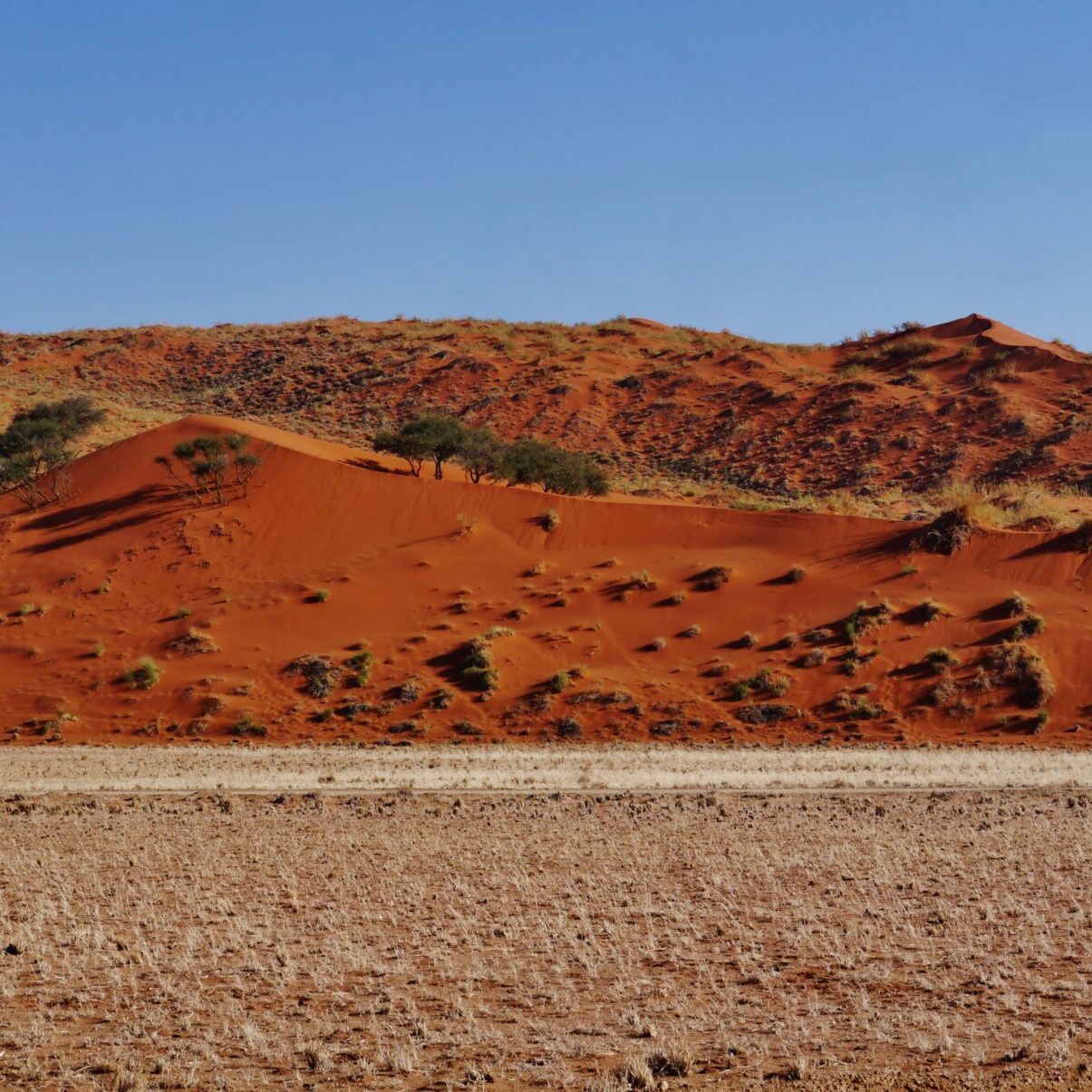 Namibia Self-Drive Safaris | Ultimate Road Trip Adventures in Namibia ...